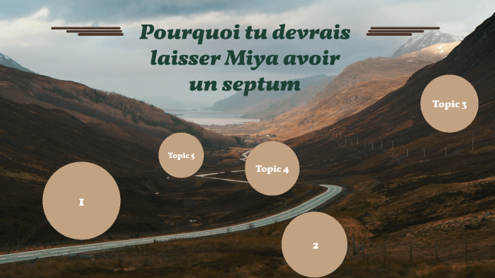 présentation by mimi Racine on Prezi