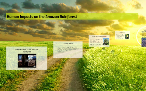 Human Impacts on the Amazon Rainforest by Sarah Iranpour on Prezi
