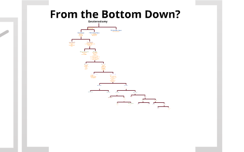 THE CLADOGRAM by Vertebrate Zoology on Prezi
