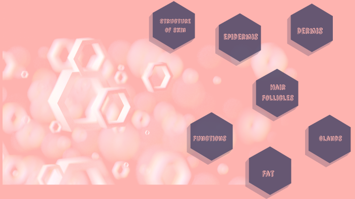 Skin System by Jadiraly Rodriguez on Prezi