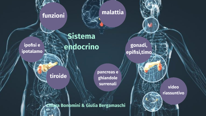 sistema endocrino by giulia bergamaschi on Prezi