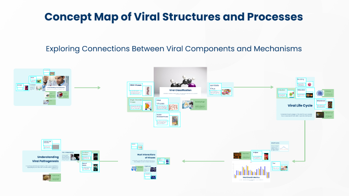Concept Map of Viral Structures and Processes by Makayla Kirkman on Prezi