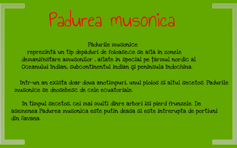 ZONA CALDA: Padurea musonica by Gradinariu Laura on Prezi