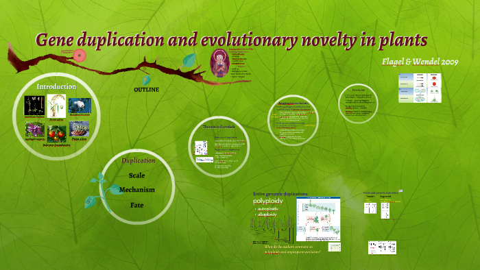 Gene duplication and evolutionary novelty in plants by HAC TRAN on Prezi