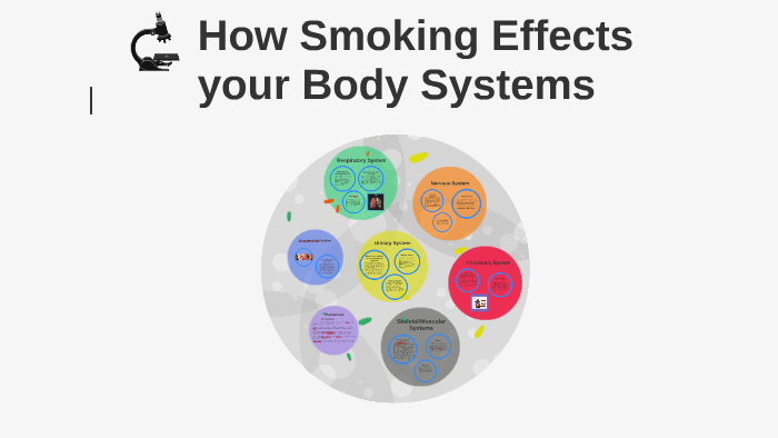 How Smoking Effects your Body Systems by R.A Marchand on Prezi