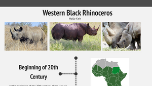 Environmental Timeline (Western Black Rhinoceros) by Holly Keir on ...
