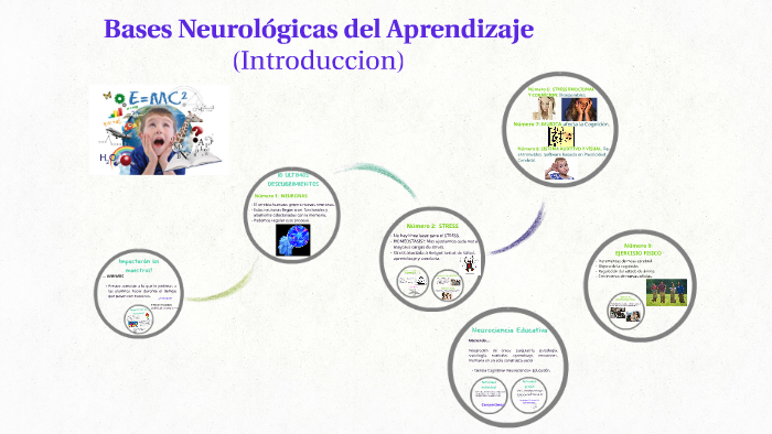 Bases Neurológicas del Aprendizaje by Daniela Robles on Prezi