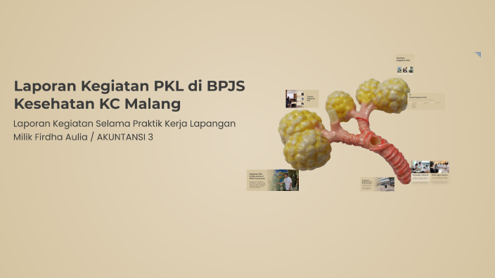 Kegiatan PKL Firdha Aulia di BPJS Kesehatan by arsy adiyatma on Prezi