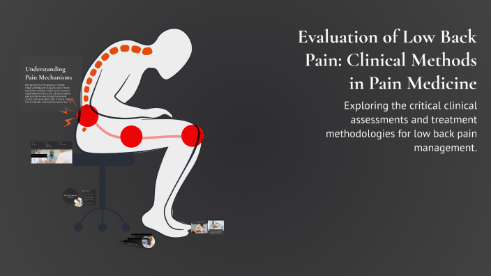 Evaluation of Low Back Pain: Clinical Methods in Pain Medicine by Zing ...