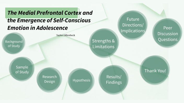 The Medial Prefrontal Cortex and the Emergence of Self-Conscious ...