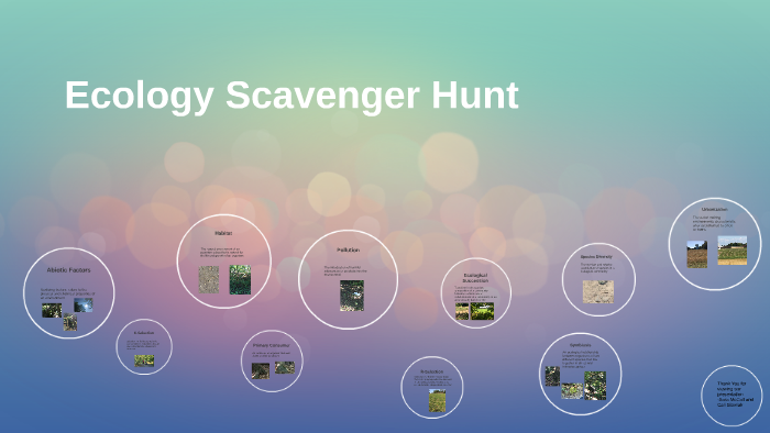 Ecology Scavenger Hunt by Sara McCall on Prezi