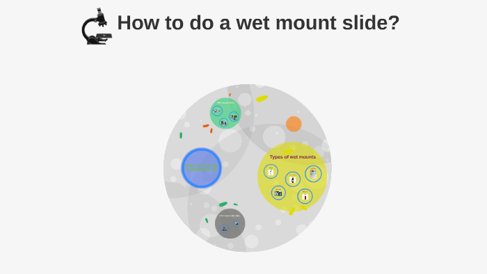 How to do a wet mount slide by Paula Hernández on Prezi