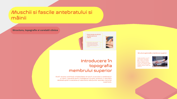 Muschii si fascile antebratului si mâinii by Artiom Junghinã on Prezi