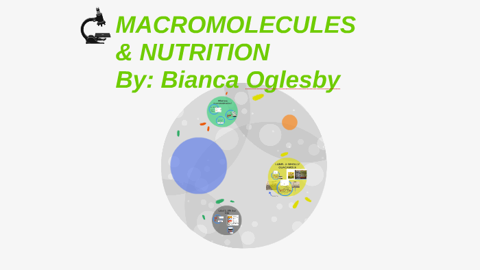 MACROMOLECULES & NUTRITION by Bianca Oglesby on Prezi