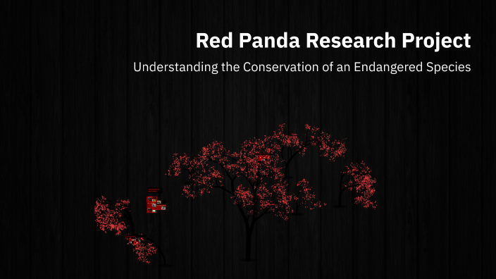 Red Panda Research Project by Ryder Tutsch on Prezi