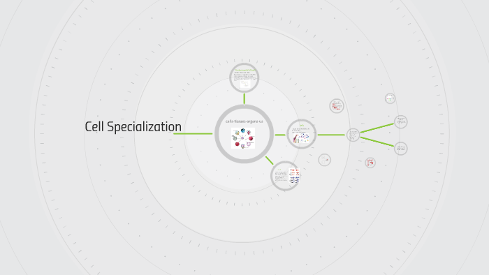 Cell Specialization by on Prezi