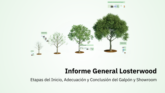 Informe General Losterwood by ramon argenis on Prezi