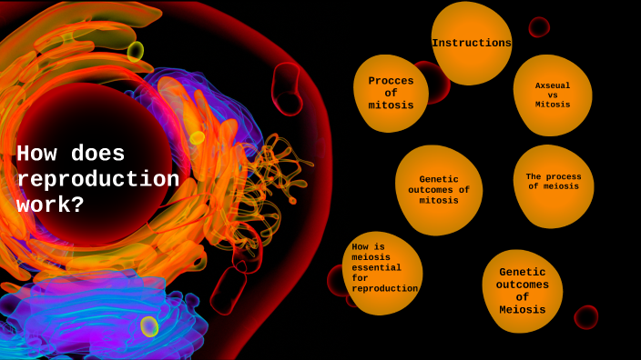 How does reproduction work? by Jude Markich on Prezi