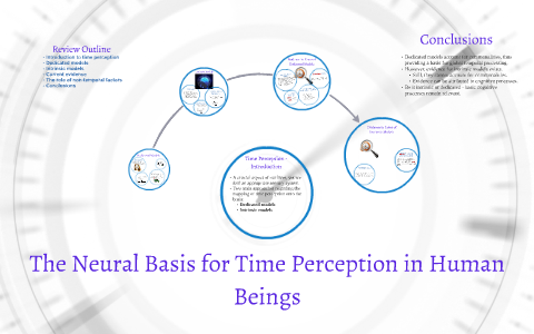 Neural representation models of time perception by Eyal Sherman on Prezi