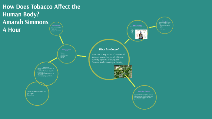 How Does Tobacco Affect the Human Body? by Amarah Simmons on Prezi