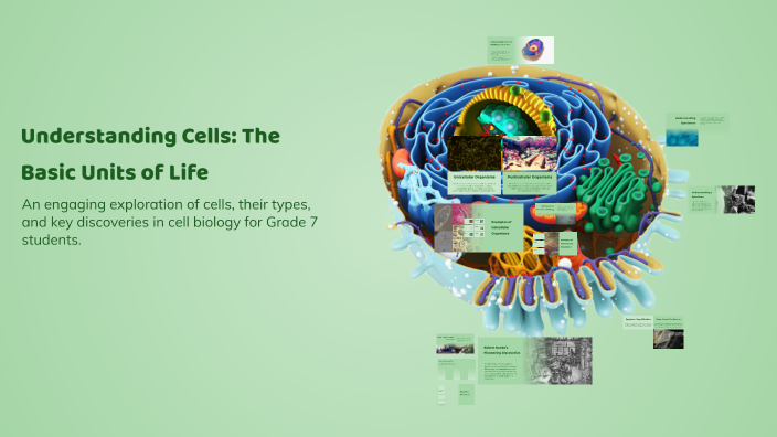 Understanding Cells: The Basic Units of Life by Afifa Sajjad on Prezi