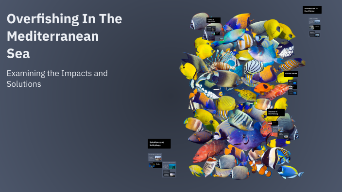 Overfishing In The Mediterranean Sea by Callen Coetser on Prezi