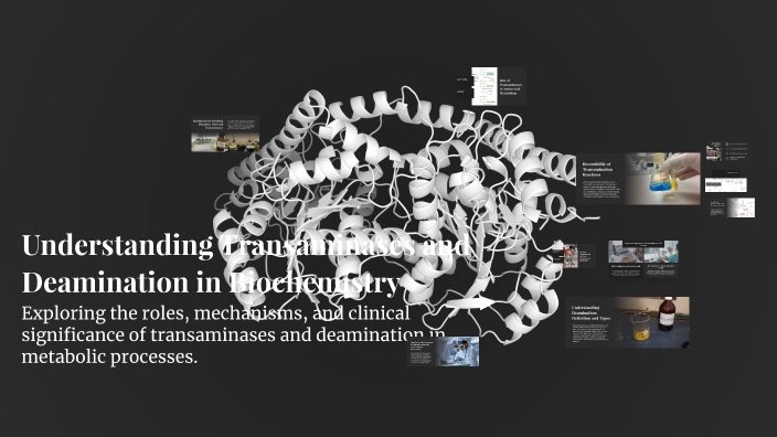 Understanding Transaminases and Deamination in Biochemistry by Ziad ...