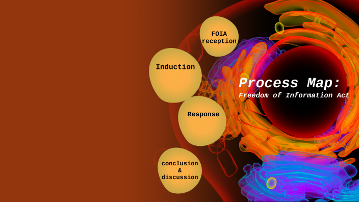 Freedom of Information Act- Process Map by jemene shelton on Prezi