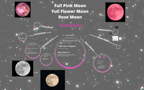 Full Pink Moon/ Rose Moon/ Full Flower Moon by shara jacobs on Prezi