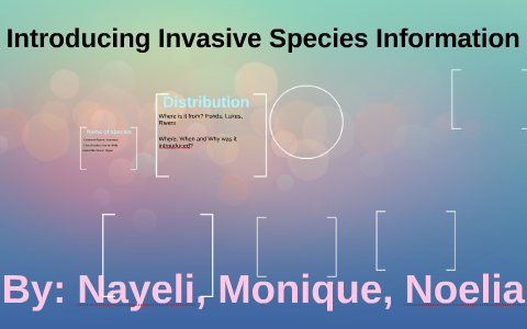 Introducing Invasive Species Information by noelia sanchez