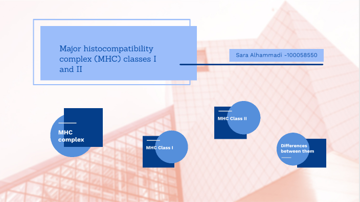 Major histocompatibility complex classes I and II by Sara Alhammadi on ...