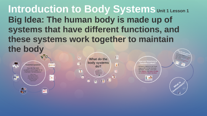 Introduction to Body Systems by Lacy Haefli on Prezi