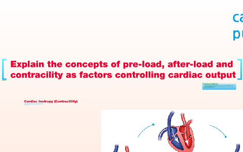Factors controlling cardiac output by Rachel V on Prezi