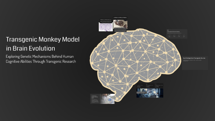 Transgenic Monkey Model in Brain Evolution by michael velazquez on Prezi