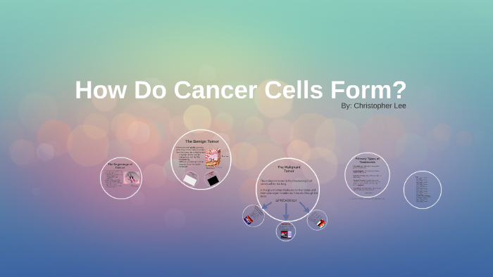 How Do Cancer Cells Form? by Lego Zebra on Prezi