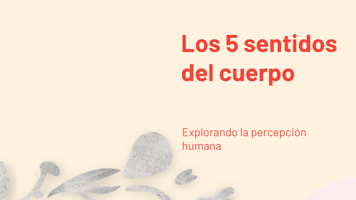 Los 5 sentidos del cuerpo by jesica Chauque on Prezi