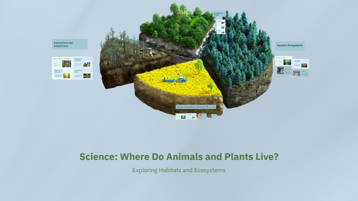 Science: Where Do Animals and Plants Live? by Diala zeidan on Prezi