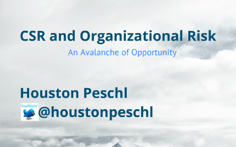 CSR and Risk Mitigation by Houston Peschl