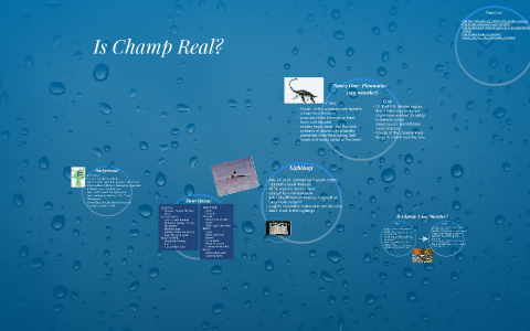 Is Champ Real? by Janae Williamson