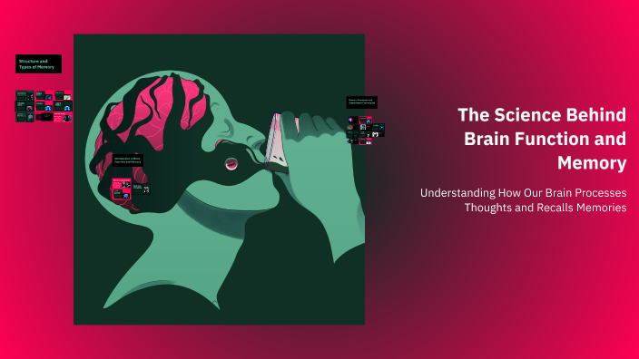 The Science Behind Brain Function and Memory by sanabil mustafa on Prezi