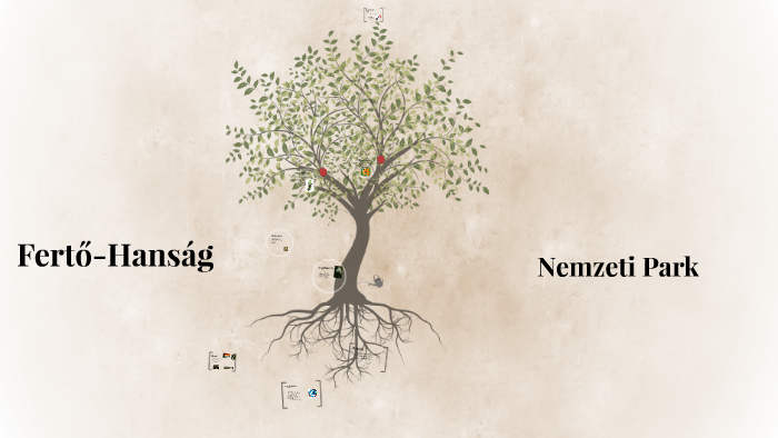 Fertő-Hánság Nemzeti Park by Ármin Softic on Prezi