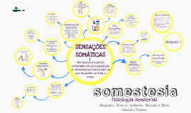 SOMESTESIA - Fisiologia Sensorial by maria vitoria deitos on Prezi