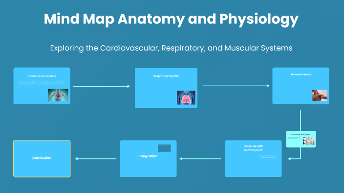 Mind Map Anatomy and Physiology by jordan pilon on Prezi