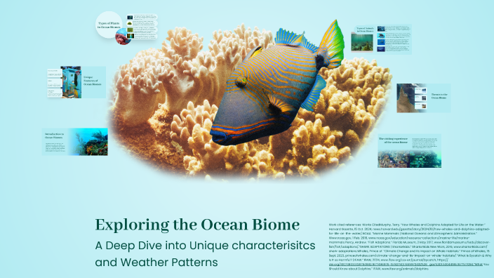 Exploring Ocean Biomes by Tykir Dawkins on Prezi