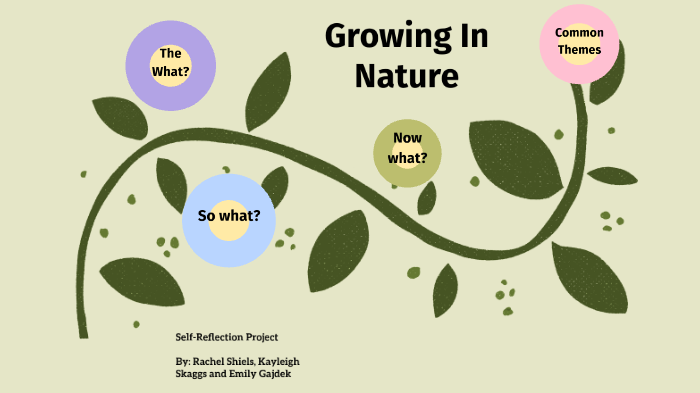 Self Reflection Project by Rachel Shiels on Prezi