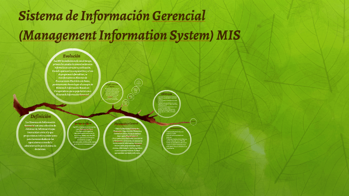 Sistema de Información Gerencial (MIS) by David Martinez