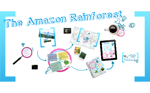 The Amazon Rainforest by Ella Fanger on Prezi