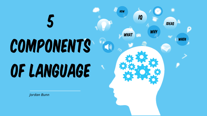 5 components of language by Jordan Bunn