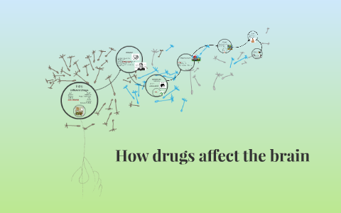 How drugs affect the brain by alex sule on Prezi