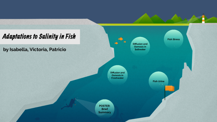 Adaptations to Salinity in Fish by Victoria Kirst on Prezi